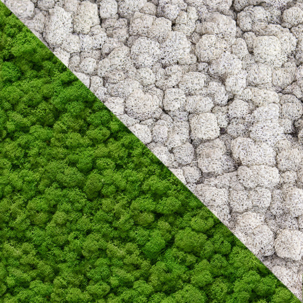Types of moss - Euromoos | Premium Moos Produzent